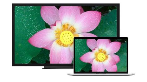 External Display Shows Black Screen With MacOS Catalina And Other Issues Check These Tips