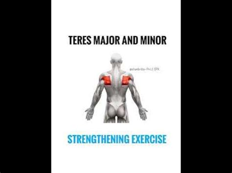 Teres Major And Minor Strengthening Exercise Youtube