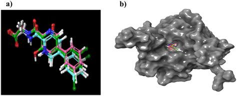 Validation Of The Docking Protocol By Re Docking The Vadadustat