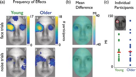 Behavioral Information A Significant Effects The White Number In