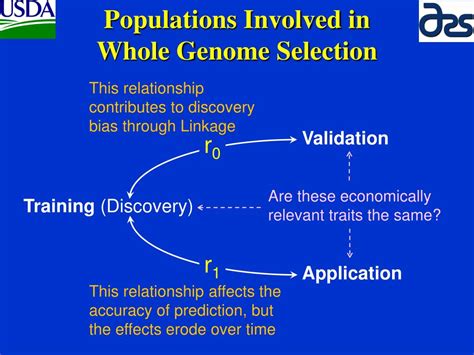 Ppt Training Validation And Target Populations Powerpoint Presentation Id1040200