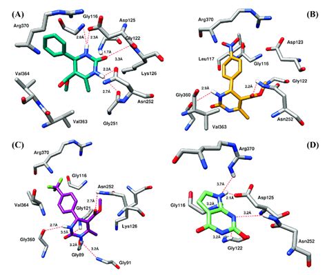 The Binding Mode Of A Compound 1 B Compound 12 C Compound 33 And Download Scientific