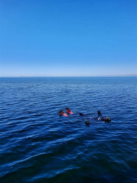 Balticsea Under Ytan