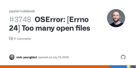 OSError Errno Too Many Open Files Issue Jupyter Notebook GitHub