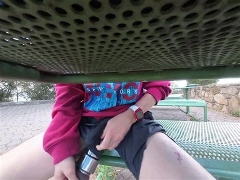 Ball Stretching Pig Wears Gear To Park