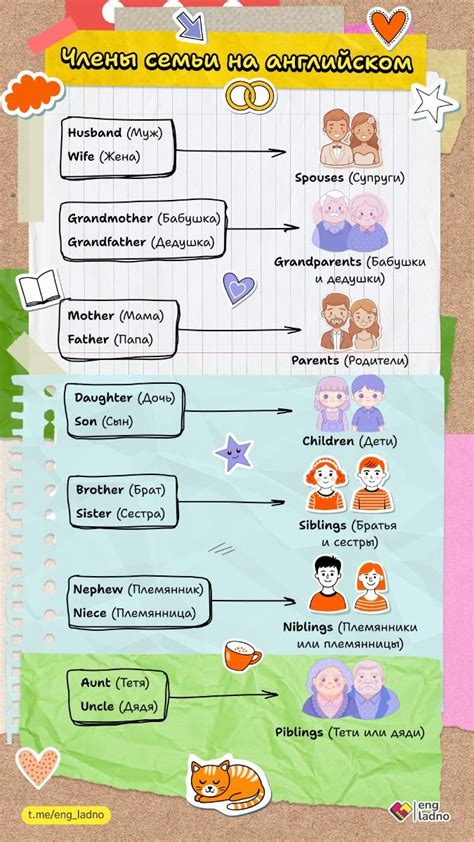 Члены семьи на английском языке 👪 English Phrases English Teacher Learn English