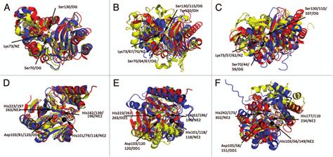 superimposing multiple proteins based on the homologous active site