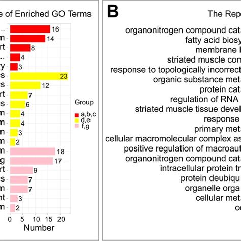 Representative Terms Of Go Enrichment Analysis Go Term Redundancy Was Download Scientific