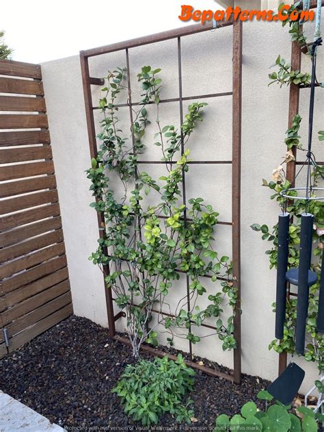 Home Decorating Lattice Trellies Garden Design Free Beginners Outdoor Trellis Flower Trellis