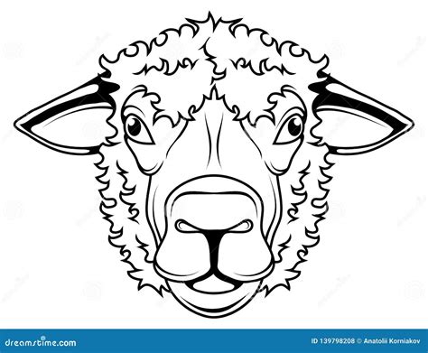 Sheep Vector Drawing Sheep Head Drawing Sketch Sheep In Black And White Stock Vector