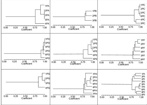 Dendrograms Performed With The Upgma Classification Method Using Data