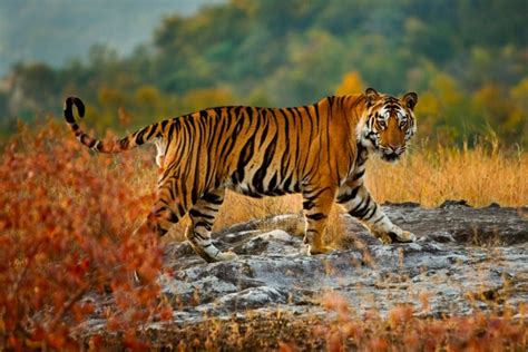 Tigera raises $10M to help enterprises secure their cloud native ...