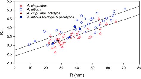Comparison Of Ratios Of The Major Radius To The Minor Radius R R Of Download Scientific