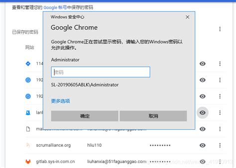 Chrome浏览器如何查看已保存的密码？谷歌怎么看保存的密码 Csdn博客