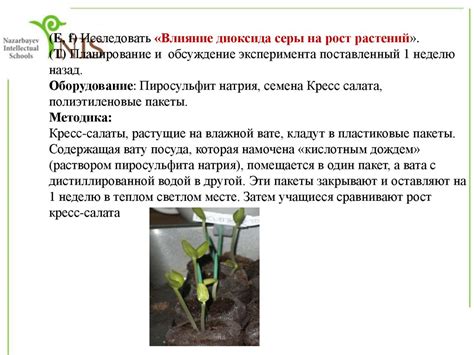 Влияние добычи и переработки полезных ископаемых на окружающую среду Влияния пестицидов на