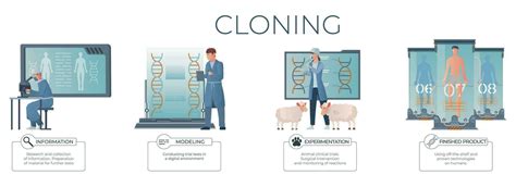 Cloning Genetics Flat Infographics 28704906 Vector Art At Vecteezy