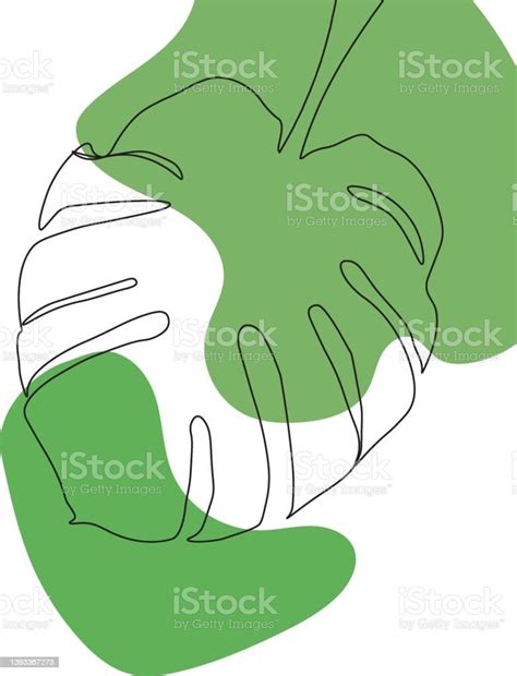 하나의 열대 괴물 잎 흰색 배경에 고립 된 검은 색 윤곽선 벡터 스톡 일러스트레이션 0명에 대한 스톡 벡터 아트 및 기타 이미지 0명 검은색 꽃무늬 Istock