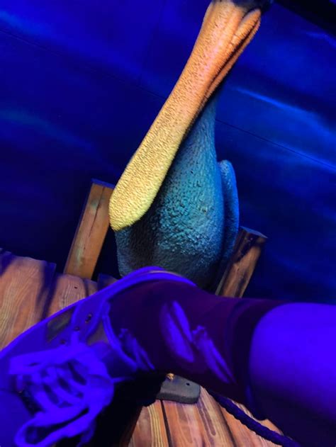 Awesome Socks Not Awesome Price R Nerdfighters