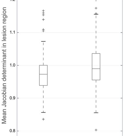 Boxplot Of The Mean Jacobian Determinant Per Lesion Volume Download Scientific Diagram