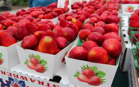 Everything We Ate At The Garden Grove Strawberry Festival Orange