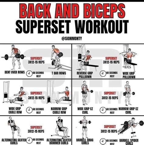 Back And Bicep Superset Biceps Workout Gym Workouts Pull Day Workout