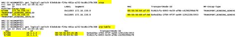 Nsx T Series Part 14 Nsx T Segment Without Ip Subnetgateway