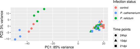 Gene Count Table Analysis MCIC Bioinformatics Tutorials