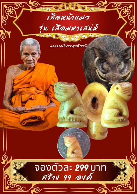 รุ่นเขี้ยวหมูป่า แกะ เสือหน้าแมว เสือมหาเสน่ห์ หลวงปู่อิ่ม ปญฺญาวุโธ