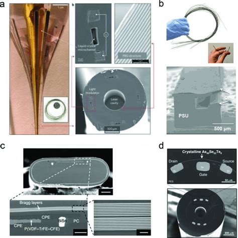 A An Azimuthally Polarized Radial Fiber Laser Integrating A Hollow Download Scientific Diagram