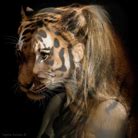 Cookbook Design On Behance