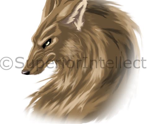 Amber Wolf By Superiorintellect On Deviantart