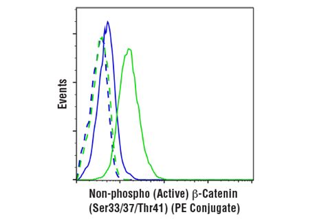 Non Phospho Active β Catenin Ser3337thr41 D13a1 Rabbit Mab Pe