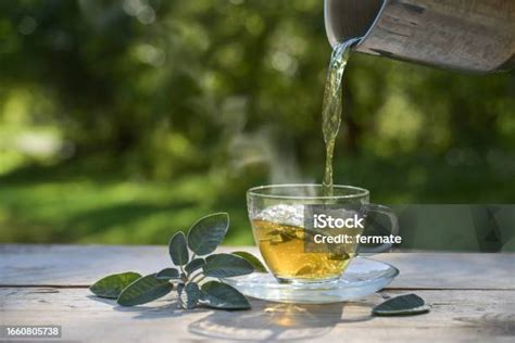 세이지 잎 건강한 허브 차 및 기침 인후통 및 소화 장애 짙은 녹색 배경 복사 공간에 대한 가정 요법이 있는 유리 컵에 뜨거운 물을 붓습니다 차 뜨거운 음료에 대한 스톡