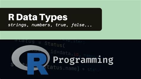 r data types coding campus