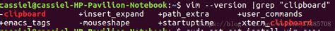 Ubuntu 下 Vim 复制粘贴系统剪切板ubuntu Gvim Copy Csdn博客