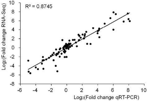 Correlation Of The Gene Expression Obtained From Qpcr And Rna Seq Download Scientific Diagram