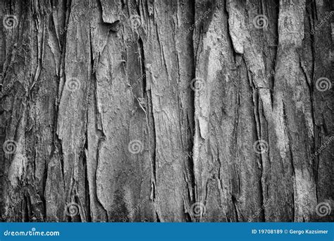 Textura De Madera Imagen De Archivo Imagen De Suelo