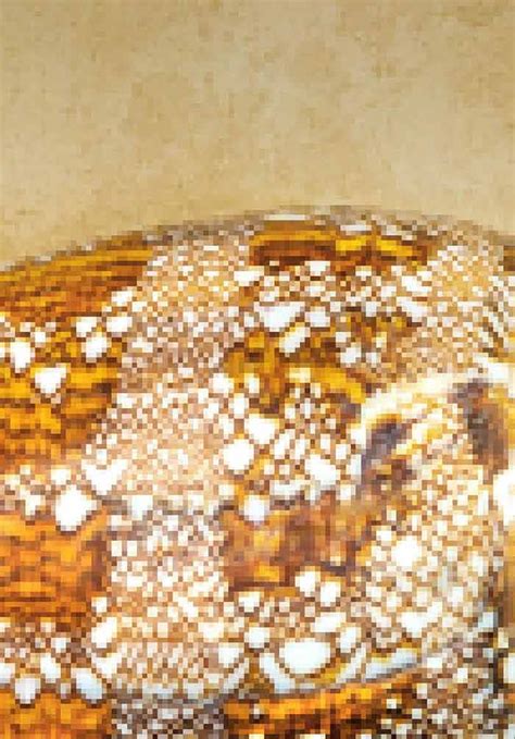 Cellular Automata For Pattern Recognition Intechopen