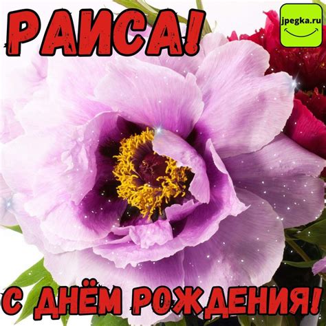 Открытки С Днём Рождения Раиса 50 картинок