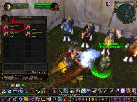 Wow Where Do You Buy Mounts In Darnassus