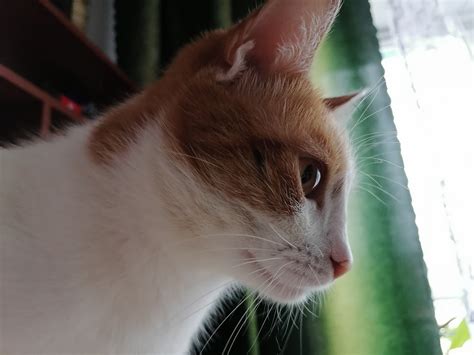 Huawei P Smart Pro Review Root Nation Com