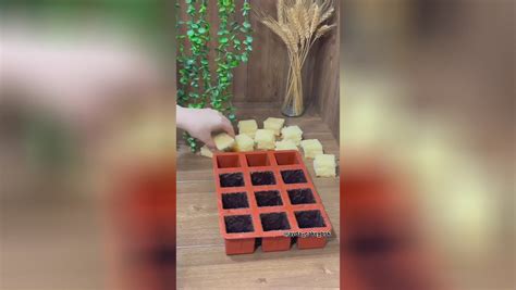 کیک یلدایی جدید موزیک