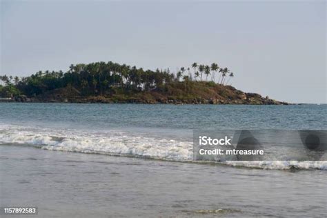 부드러운 황금 빛 모래 따뜻한 청록색 푸른 바다 파도 부드럽게 랩핑 해안 먼 섬과 키가 큰 코코넛 야자수와 해안선보기 팔로렘 비치 고아 인도에서 푸른 하늘 벽지 배경과 해외