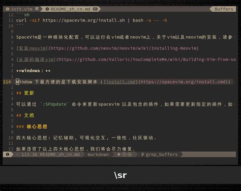 Screenshorts Issue 67 Wsdjeg SpaceVim D GitHub