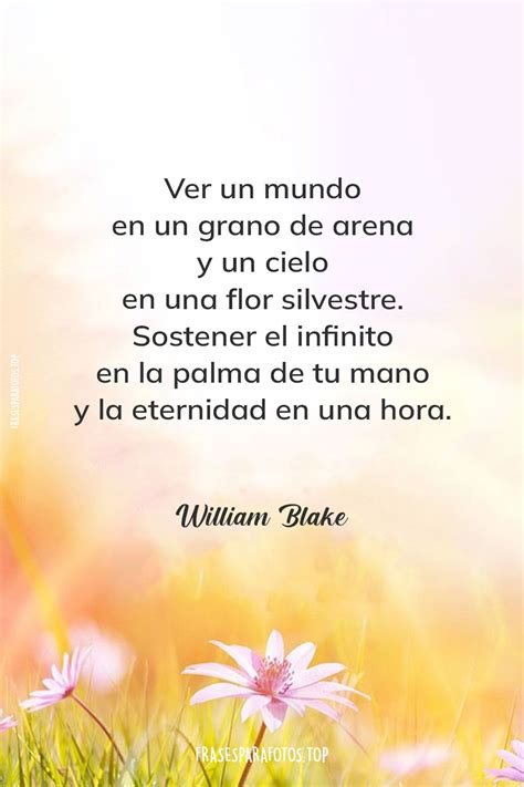 Poemas Lindos De Mejores Amigas Tumblr 20 Frases De Amor Largas Para