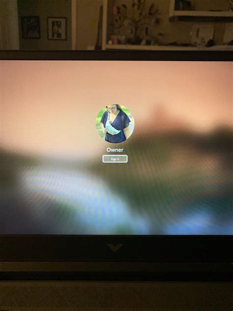 My Name On Computer Start Up Screen Is “owner” R Windowshelp
