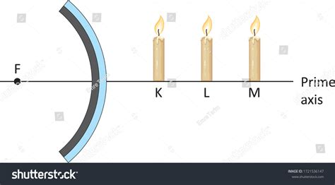 Physics Reflection Spherical Mirrors Stock Vector Royalty Free Shutterstock