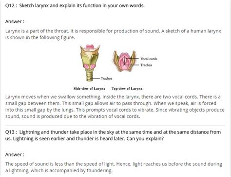 NCERT Solutions For Class 8 Science Sound