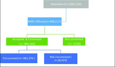 Flow Of Participants For The VMMC Program Download Scientific Diagram