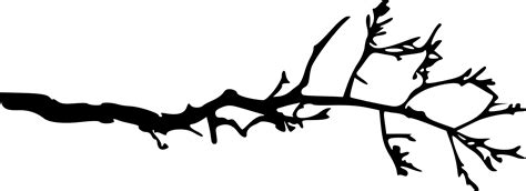 Picture Of A Tree Branch Free Download On ClipArtMag